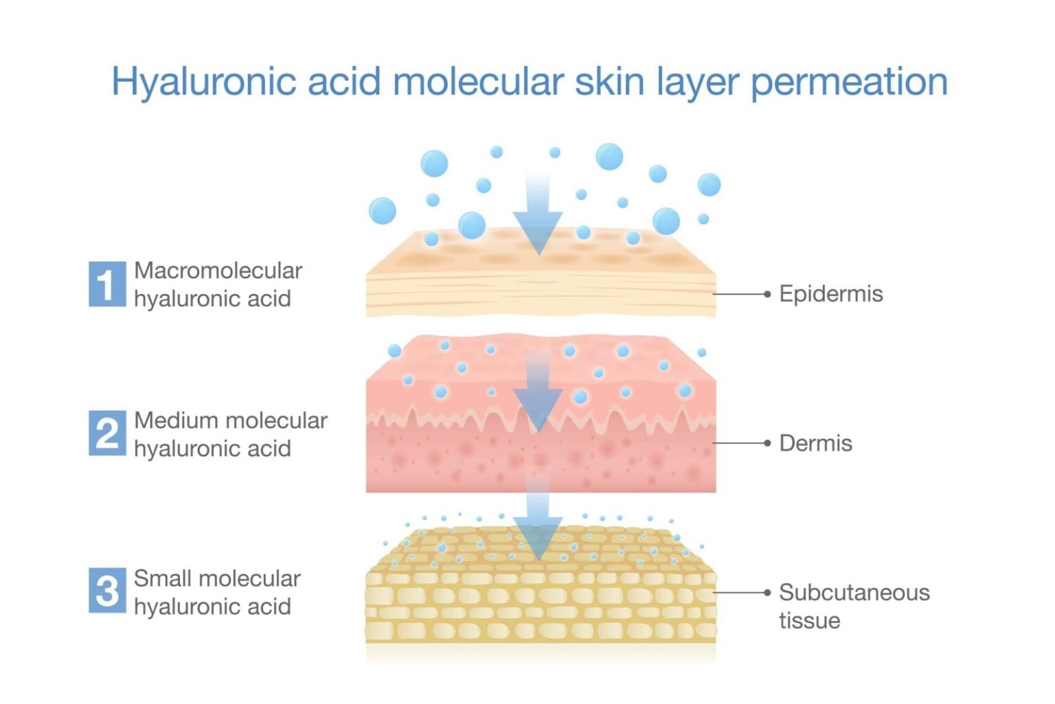 Collagen Retinol 4D Hyaluronic Acid – Sigma Essentials USA